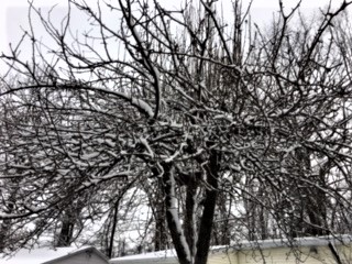 The First FallenSnow… – In plain sight